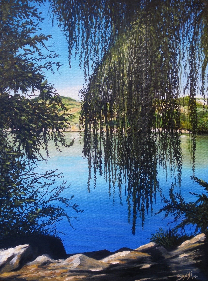 Le lac Kir de Dijon - Galerie BRUNI